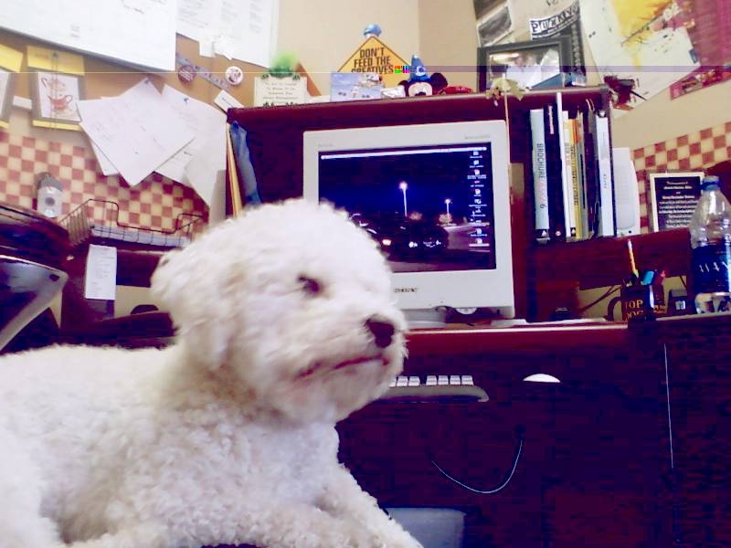 June TRAIN *** Choo Choo - Page 20